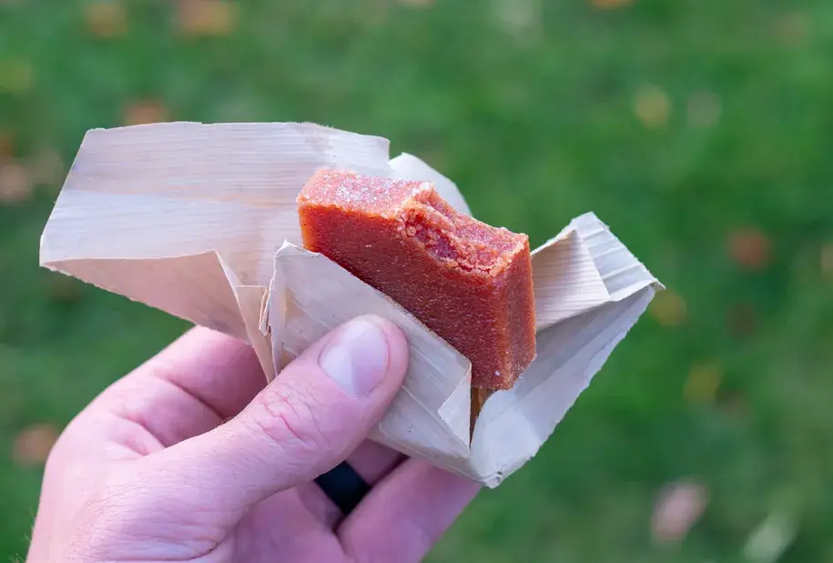 Luchos Energy Blocks Review: Natural Fuel for Ultra Running | GB Ultra ...