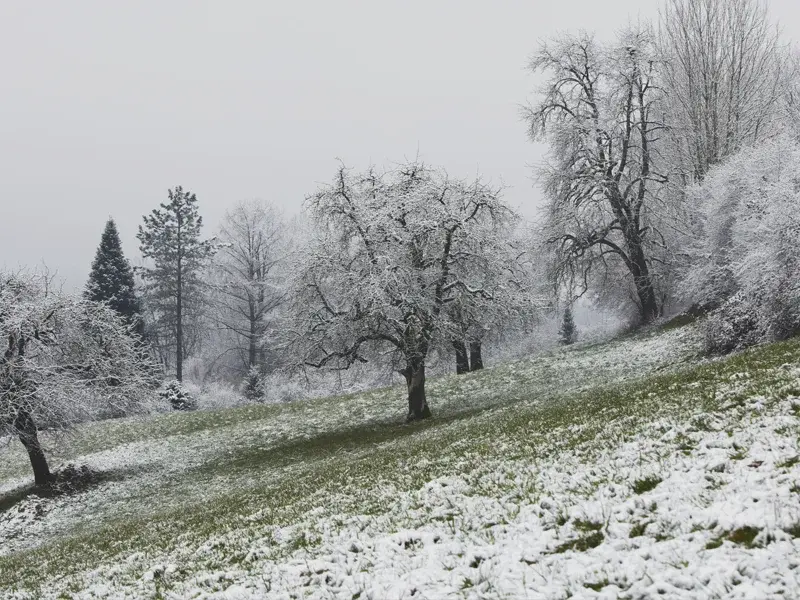 50 Miler Ultra Marathons Calendar UK | 50 Miler Ultras | GB Ultra Runner